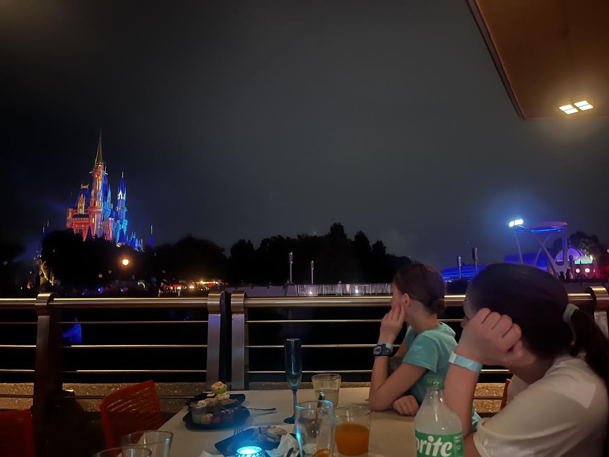 Magic Kingdom Fireworks Dessert Parties, What's the difference? - Me ...