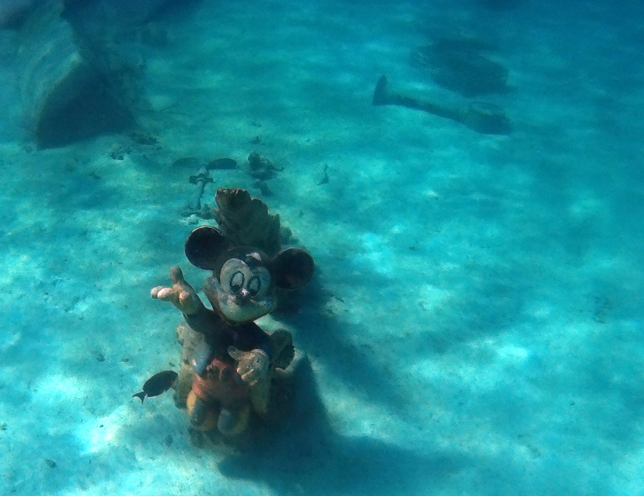 Snorkeling at Disney’s Castaway Cay - Me and the Mouse Travel