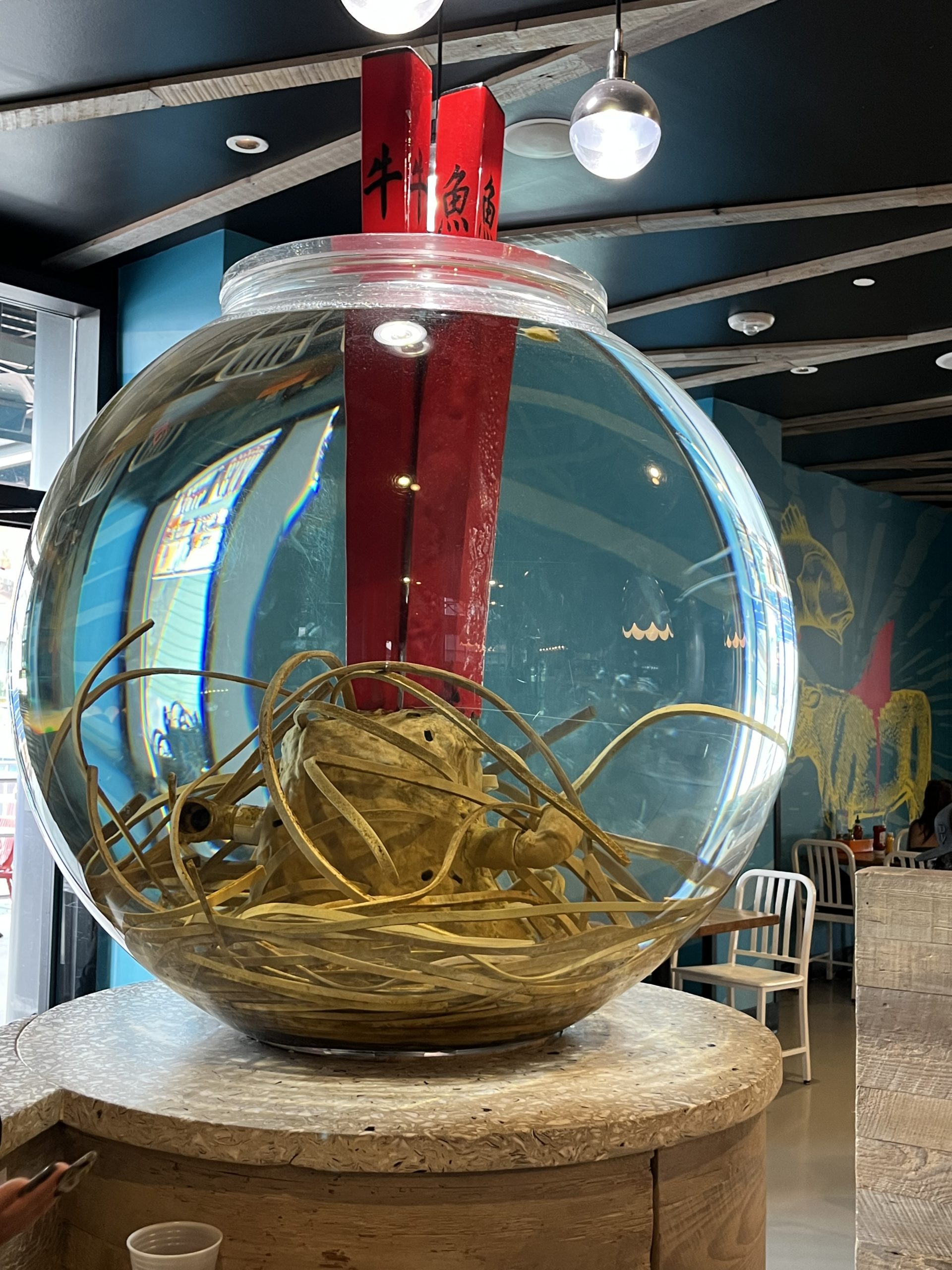 Universal Orlando Resort: The Cowfish Restaurant Review