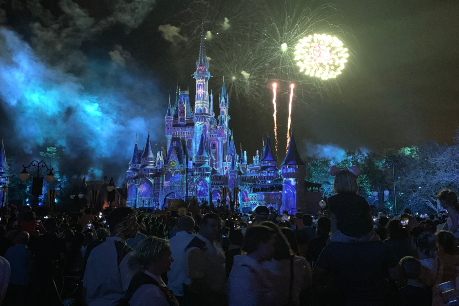 What I Wish I'd Known Before My First Disney Vacation - Me and the ...